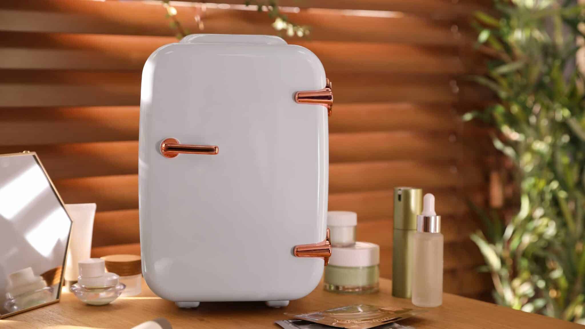 6 Best Quiet Mini Fridge For Bedroom And Car (Portable)